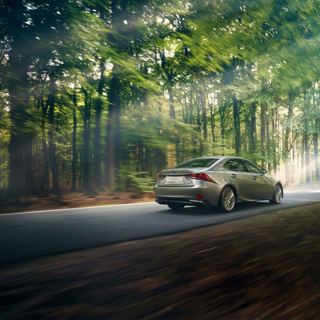 Tramer Kaydı Nedir, Nasıl Sorgulanır? | Lexus Türkiye